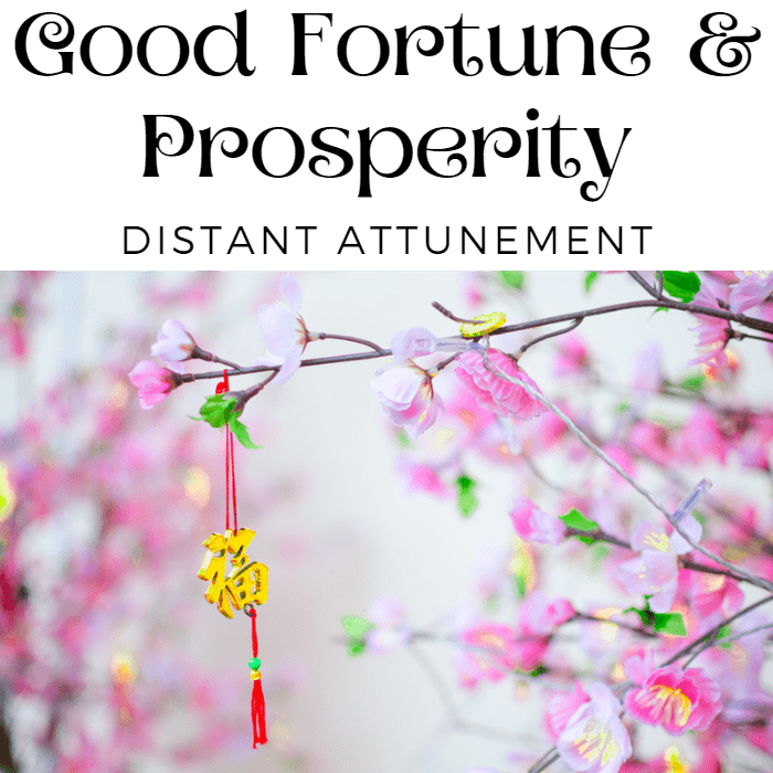 Good Fortune Prosperity Empowerment — Starlene Breiter